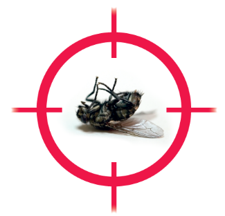 Supona® | Zoetis AU