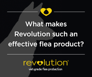 Product information and useful resources | Zoetis AU