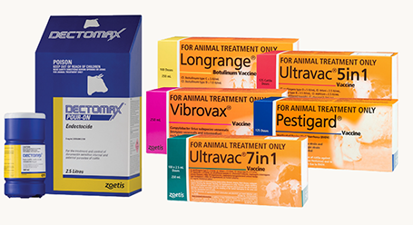 Cattle Botulism | Zoetis AU