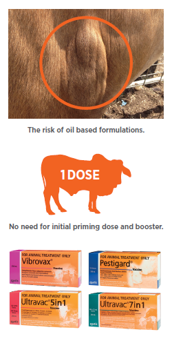 Botulism Symptoms In Cattle