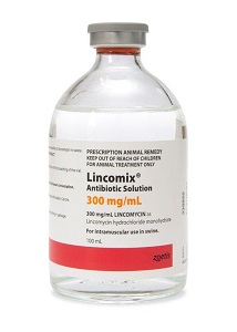 Linco-Spectin® Injection | Zoetis AU