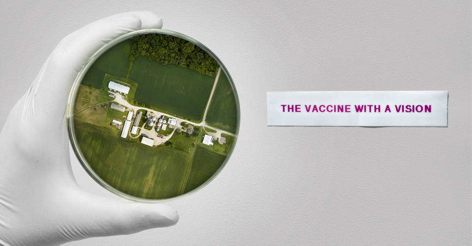 Fostera® PCV MH Protects Pigs From PCV & M Hyo | Zoetis | Zoetis AU